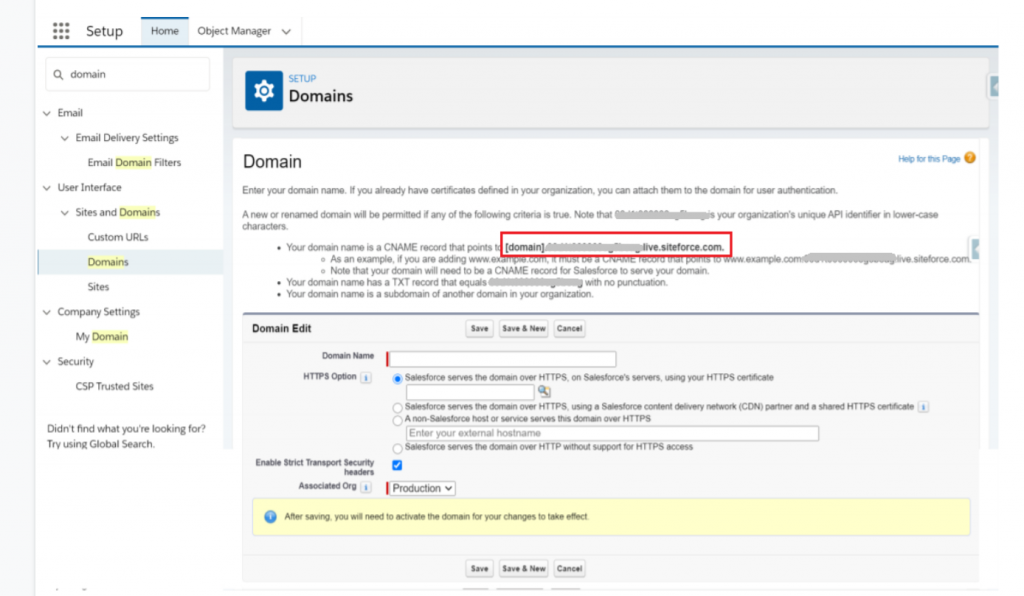 Custom Domain Set Up – A Way To Acquire Unique Brand Identity - FEXLE ...