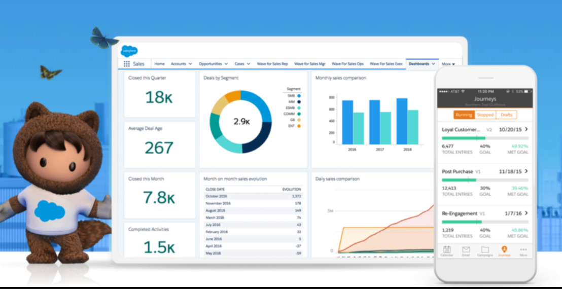 How Much Does it Cost to Develop a Salesforce Mobile Application ...